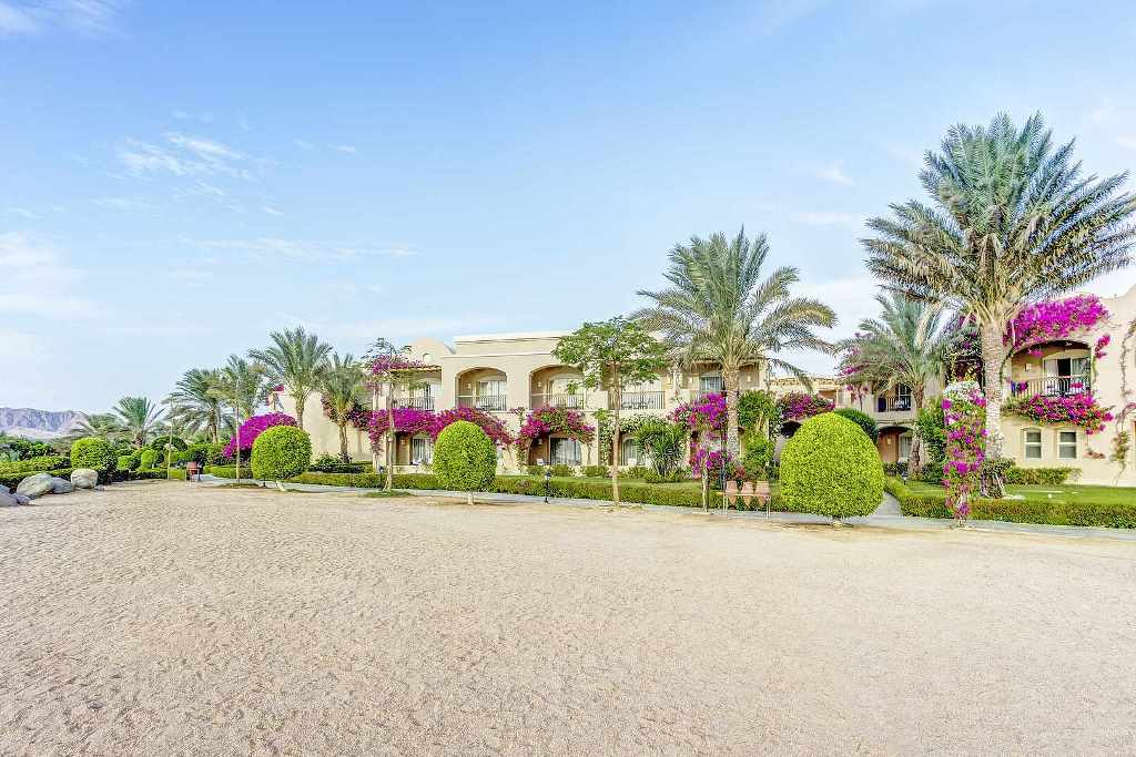 Holidays for Holiday Makers - PEP Angebote: pepXpress