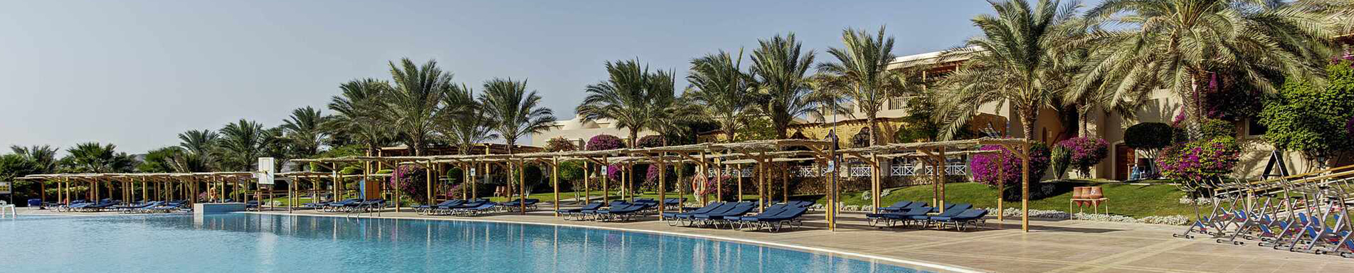 Holidays for Holiday Makers - PEP Angebote: pepXpress